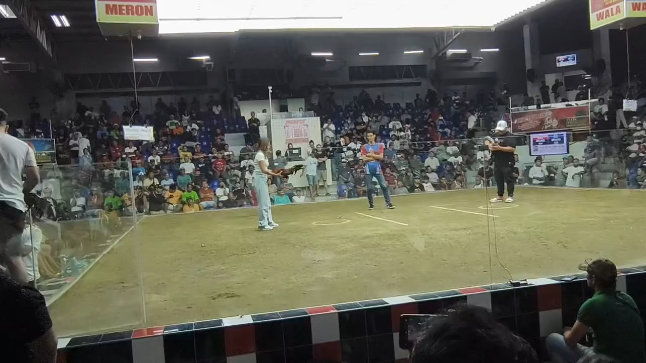 Firebird Angels vs Jet Sweater - BiliBili