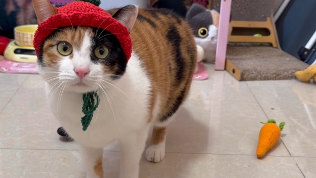 I’ve stressed this over and over—read the question carefully before you ...