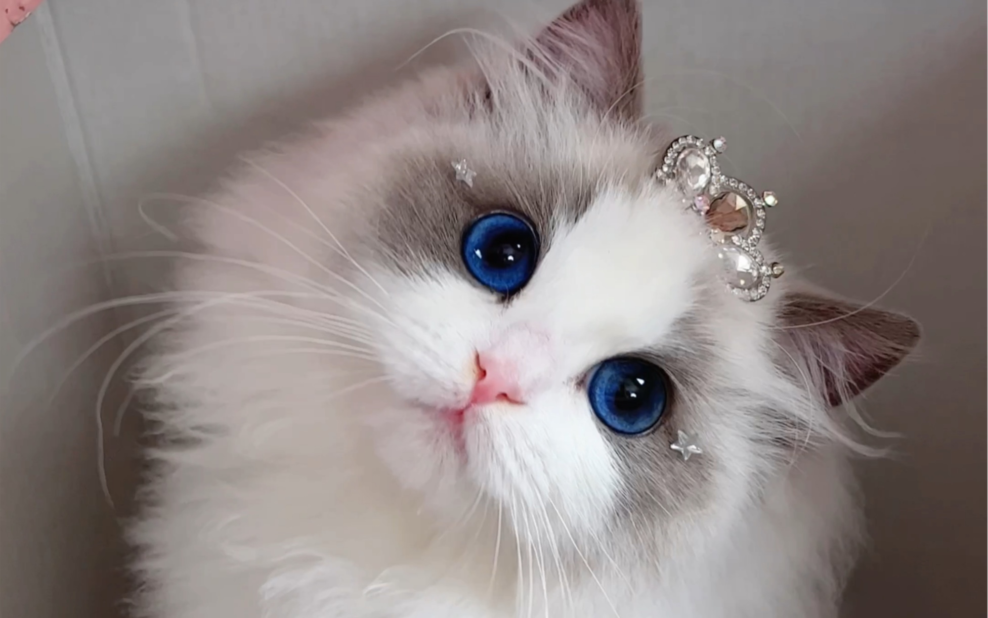 I wonder if this’ll hit the hunks right in the heart - BiliBili