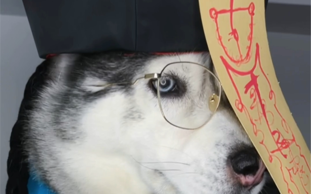 Siapa yang nggak punya zombie kecil sendiri? - Bstation