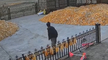 Now the old man finally gets it: you can’t just jump into any kind of ...