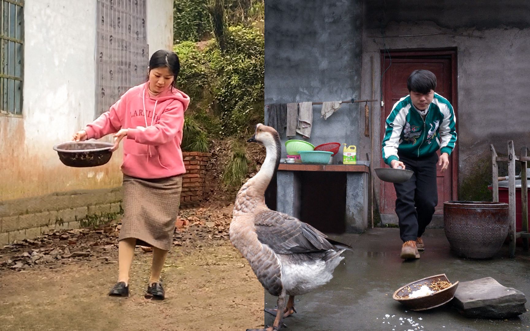 Dual-Line Feeding - BiliBili