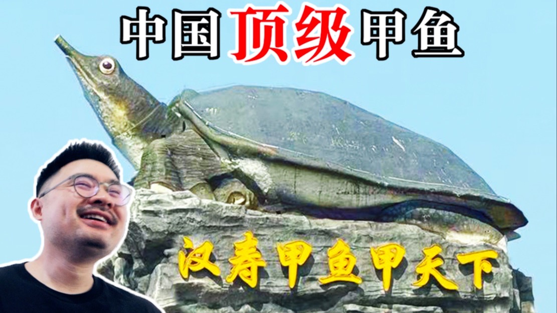 China’s Top-Grade Soft-Shell Turtle: Just How Delicious Is It? - BiliBili