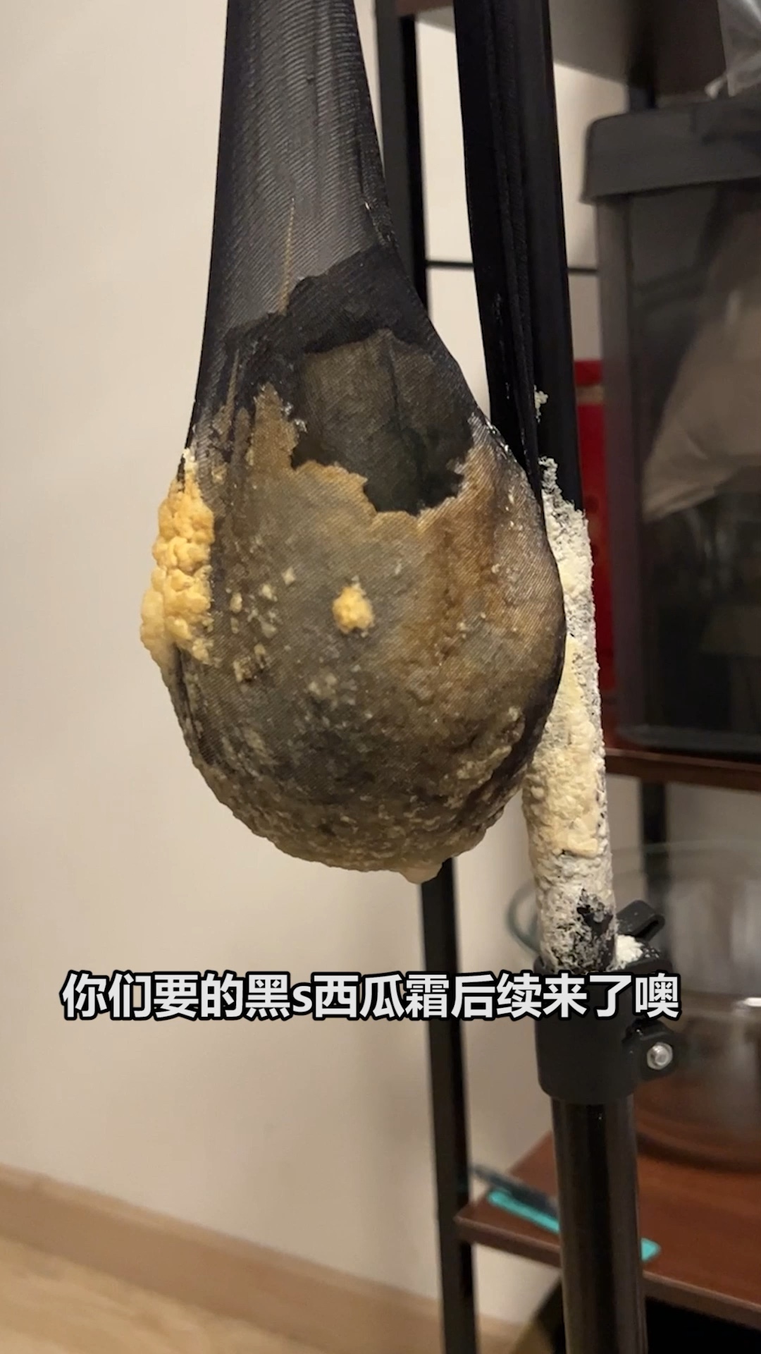 More on the black-stockinged watermelon frost is here! To avoid getting ...