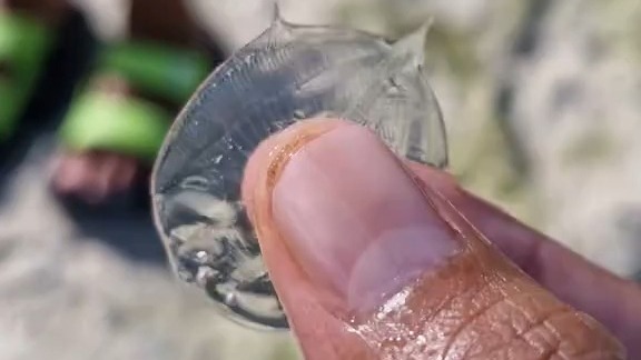 A netizen picked up a “piece of glass” from the seawater—and upon ...