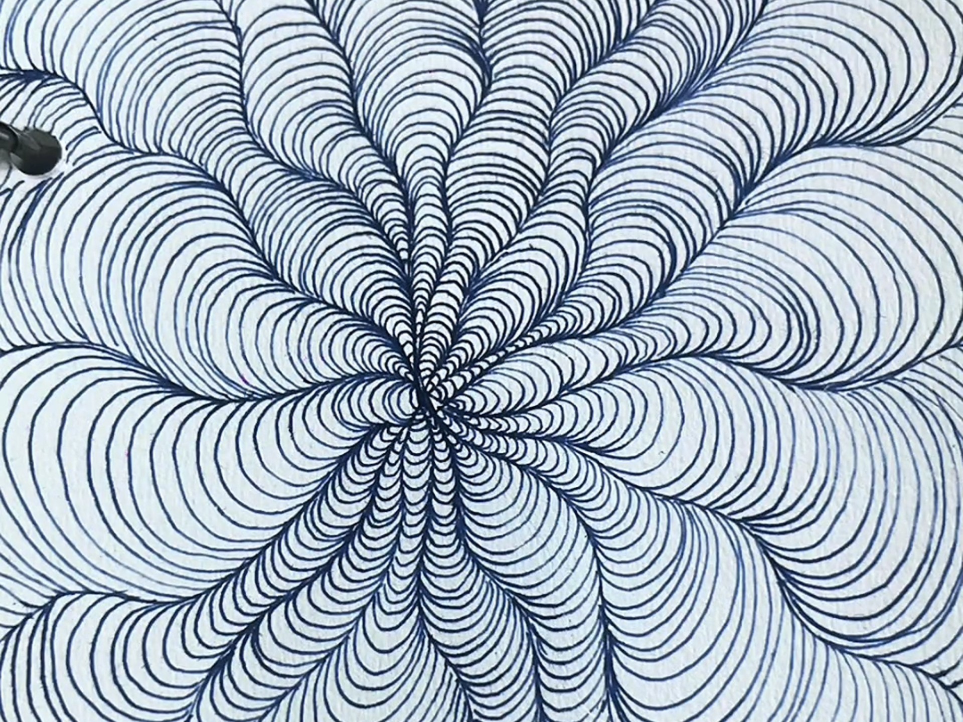 Doodled When I Was Bored - BiliBili