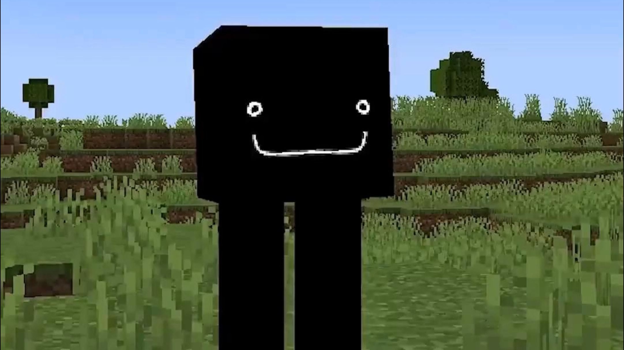 A reliable companion - BiliBili