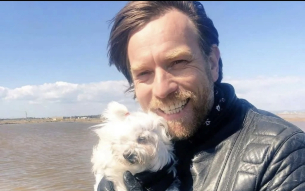 Suddenly stopped smiling—damn, that charm! - BiliBili