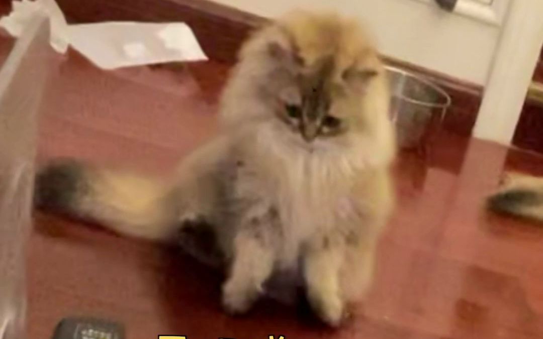 See? Girls really are a bit smarter! - BiliBili