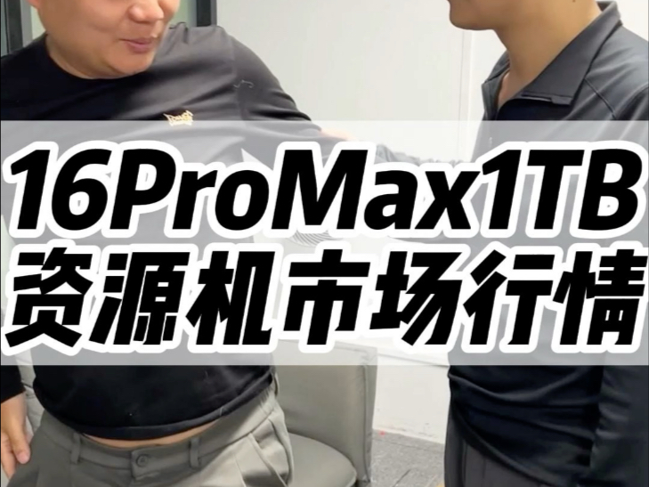 How Much Does the 16 Pro Max 1TB Gray Market Version Differ from the US ...