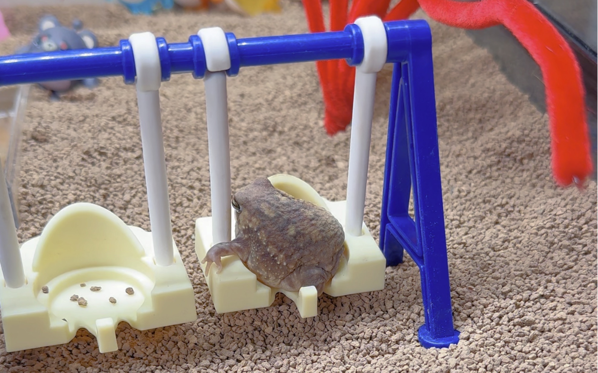 The Mystery of the Disappearing Steamed Bun Frog Eggs - BiliBili