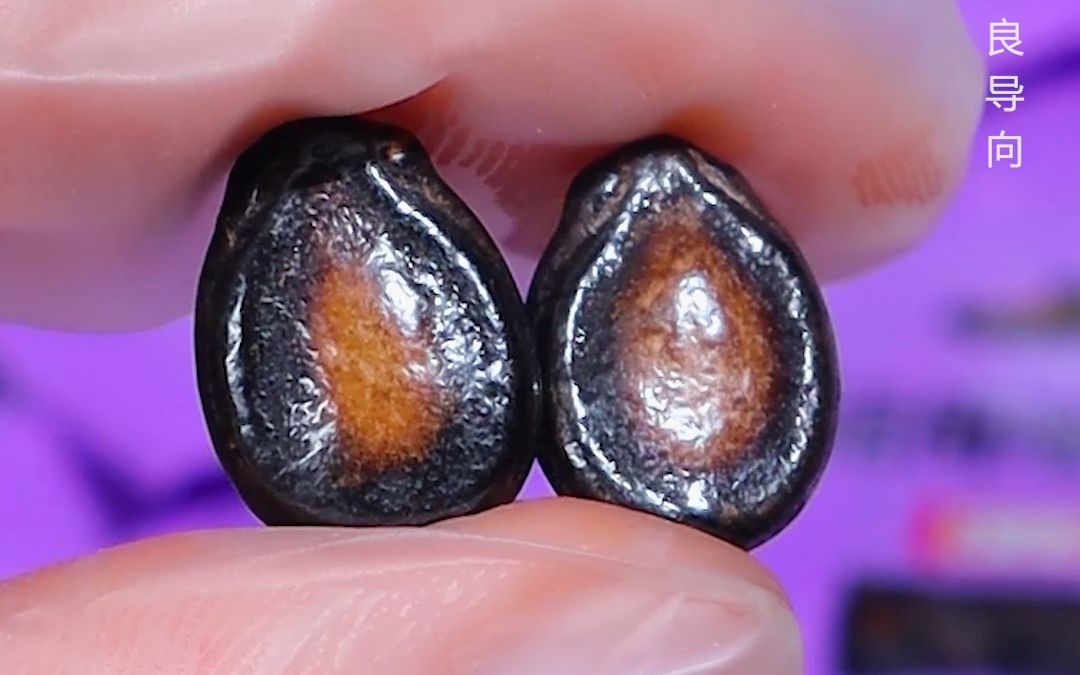 #Plum-Flavored Watermelon Seeds — Fate Brought Us Together #Essential ...