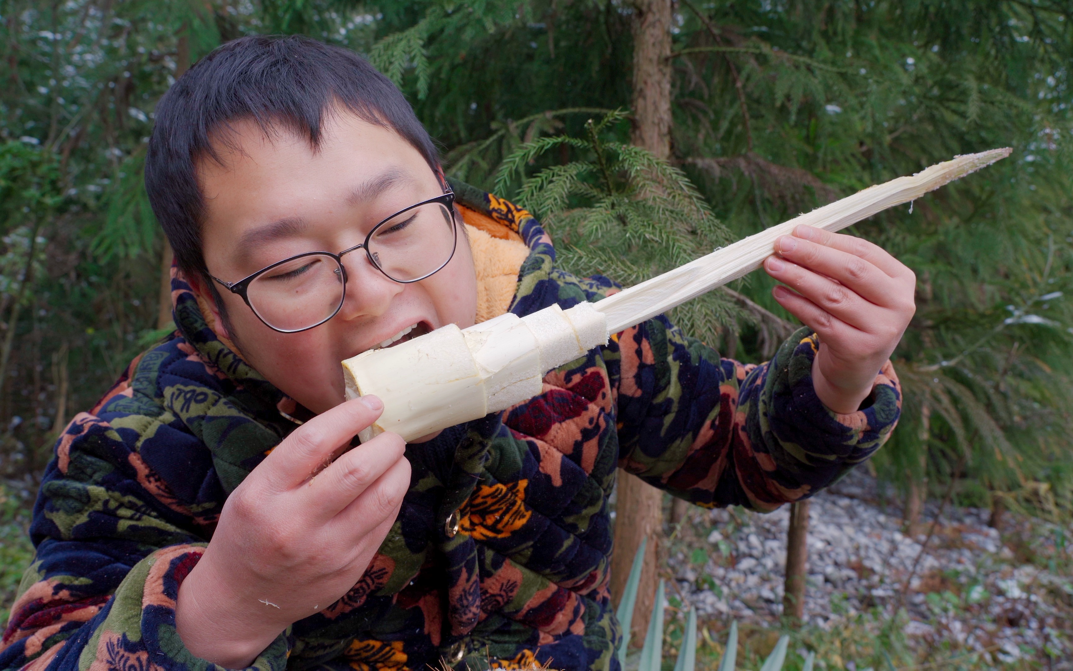 What does palm heart—known as the “Rolls-Royce of the vegetable world ...