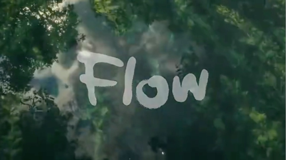 FLOW (2024) - BiliBili