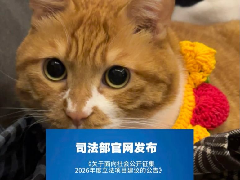 People, please support legislation for the Animal Welfare Act! - BiliBili
