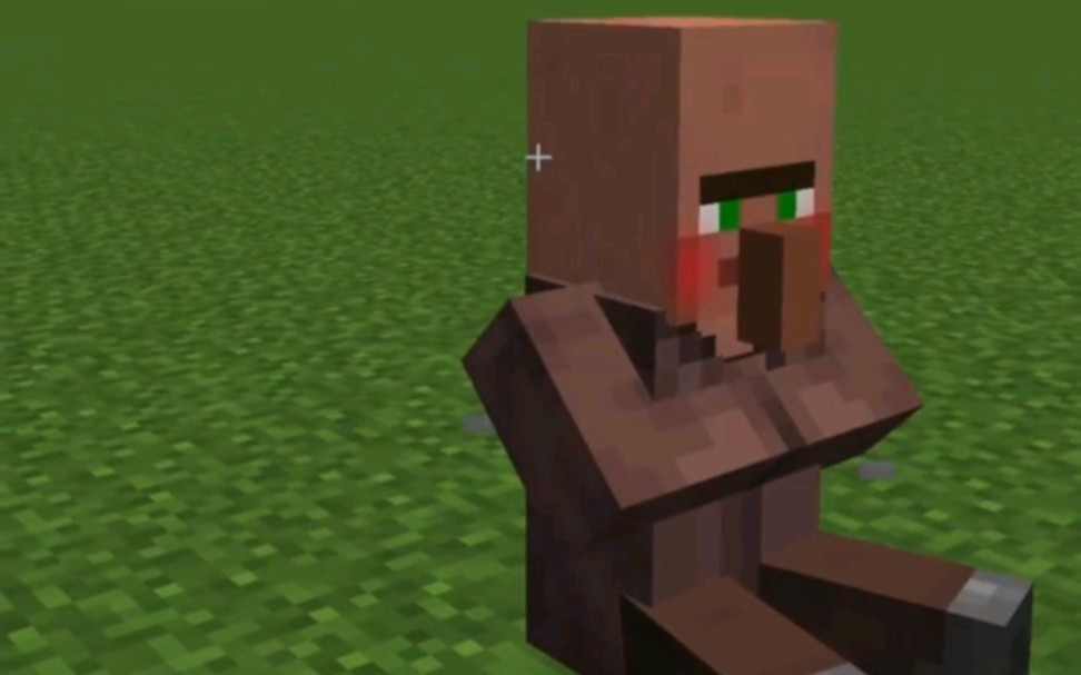 Minecraft torture villager toys - BiliBili