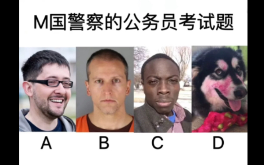 Silly Memes | Who Ate the Dragon Fruit? - BiliBili