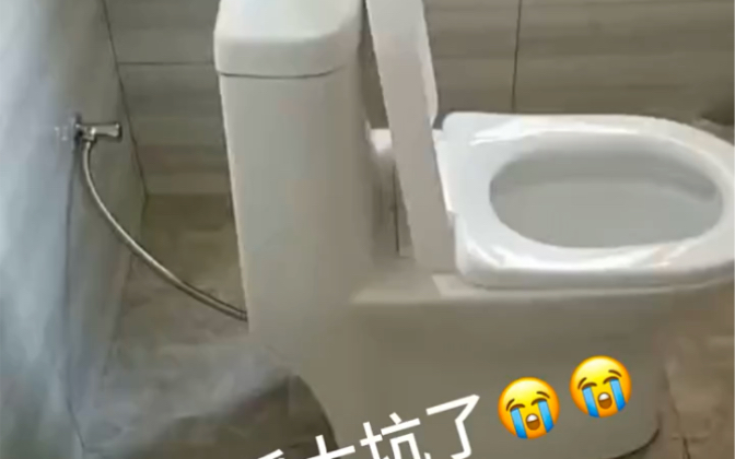 There’s a Smart Way to Pick a Toilet—Follow These Tips for Peace of Mind! - BiliBili