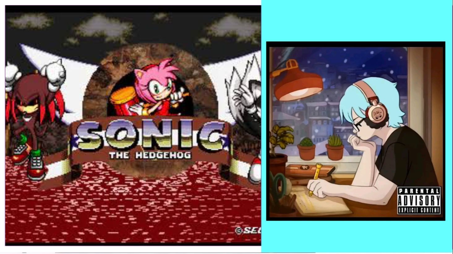 the sonic horror game [sally.exe] - BiliBili