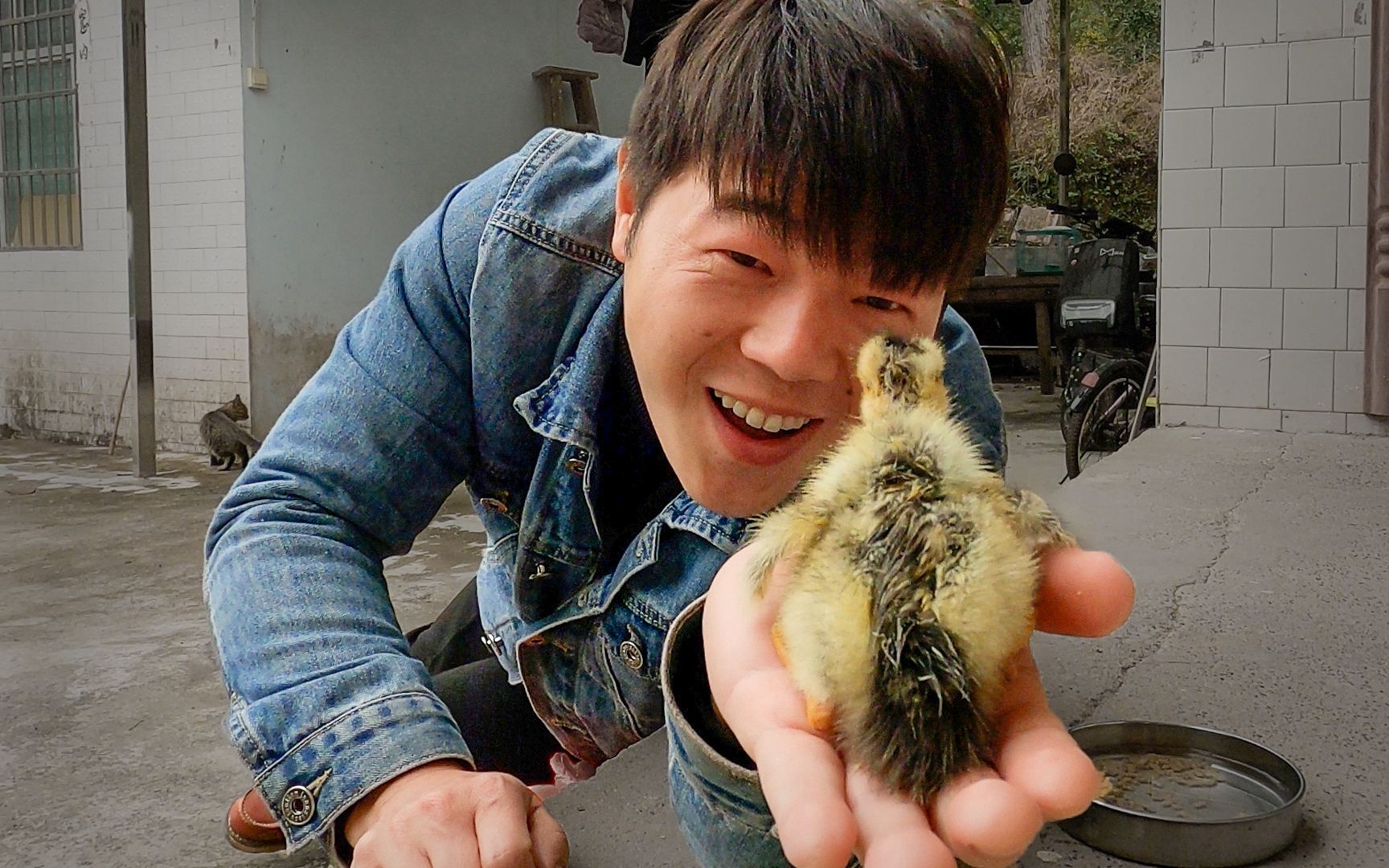 After 30 days, F4’s offspring finally hatched! - BiliBili