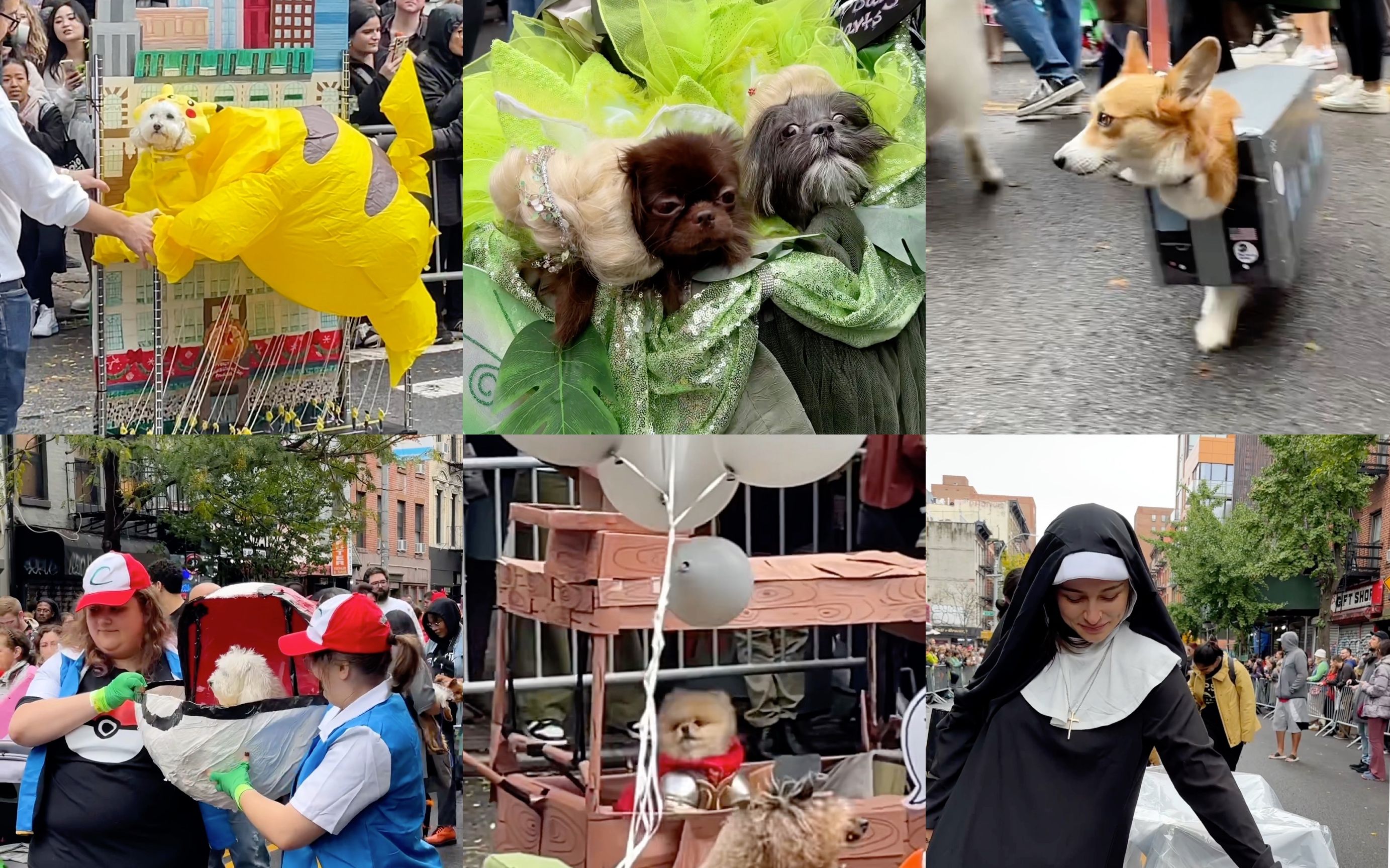 2023 New York Halloween Dog Parade - BiliBili