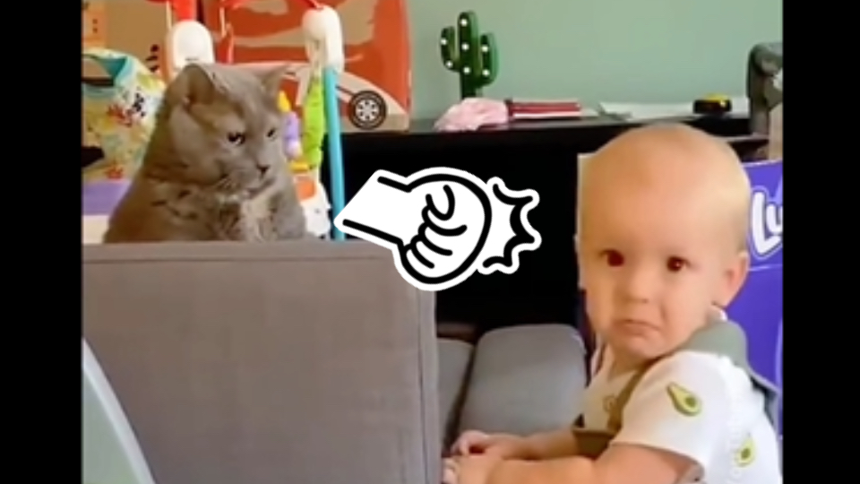 👶&🐱: Looks like Yilou and I just don’t click… - BiliBili