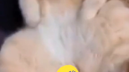 “Jasa - 1” - Bstation