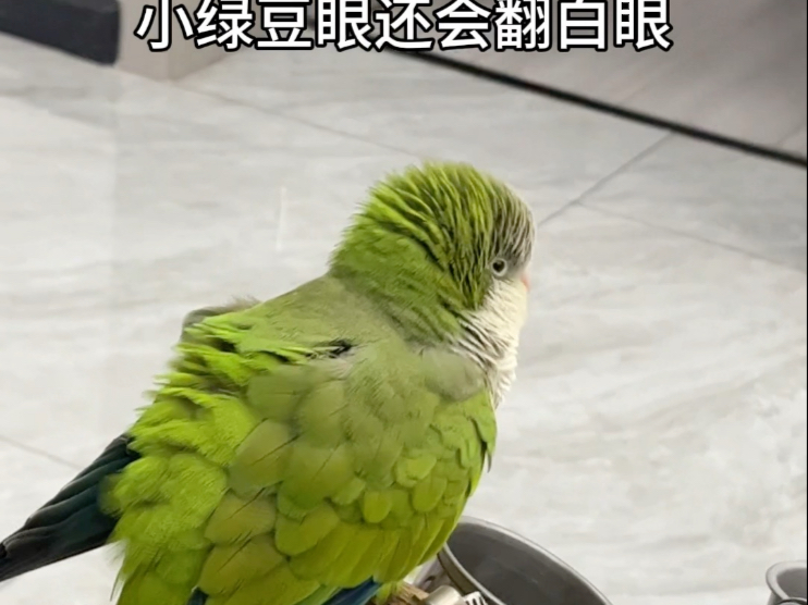 We’re no longer friends—I’m done with that jerk. - BiliBili