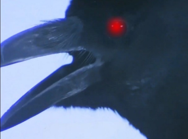 A crow devoured a human corpse and transformed into a raven demon—now ...