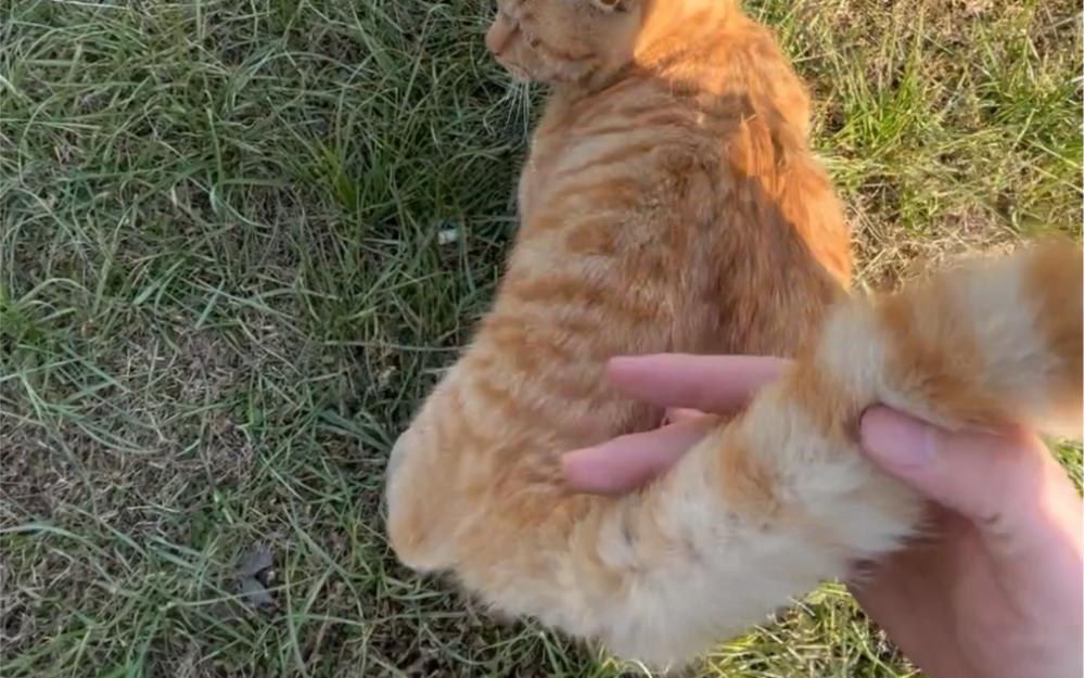 You can touch it, but don’t touch it randomly! - BiliBili