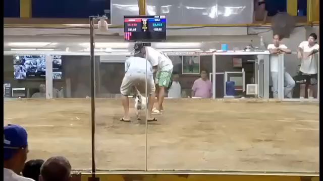 my wining line ... RaptoR SweatER.. - BiliBili