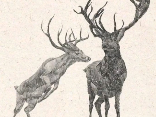 Diverse Ways for Art Students to Practice Lines - BiliBili