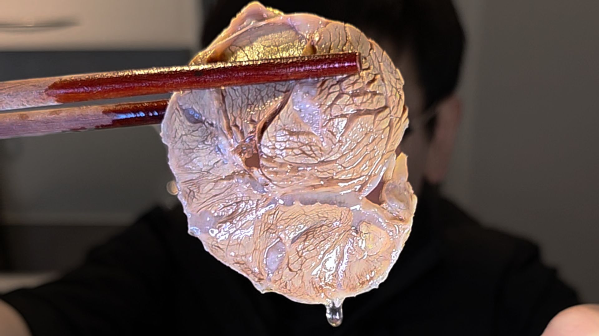 Spring Water Beef! - BiliBili