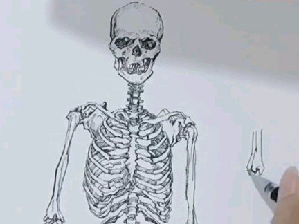 Art Student Sneaking into Medical School Classes - BiliBili