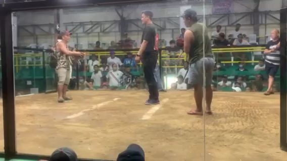 bulik nag walis champion 2hits ulutan - BiliBili
