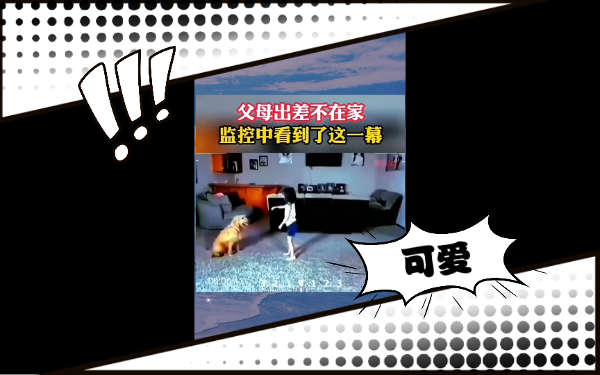 Doggy: A healing best friend—life’s better with you! - BiliBili