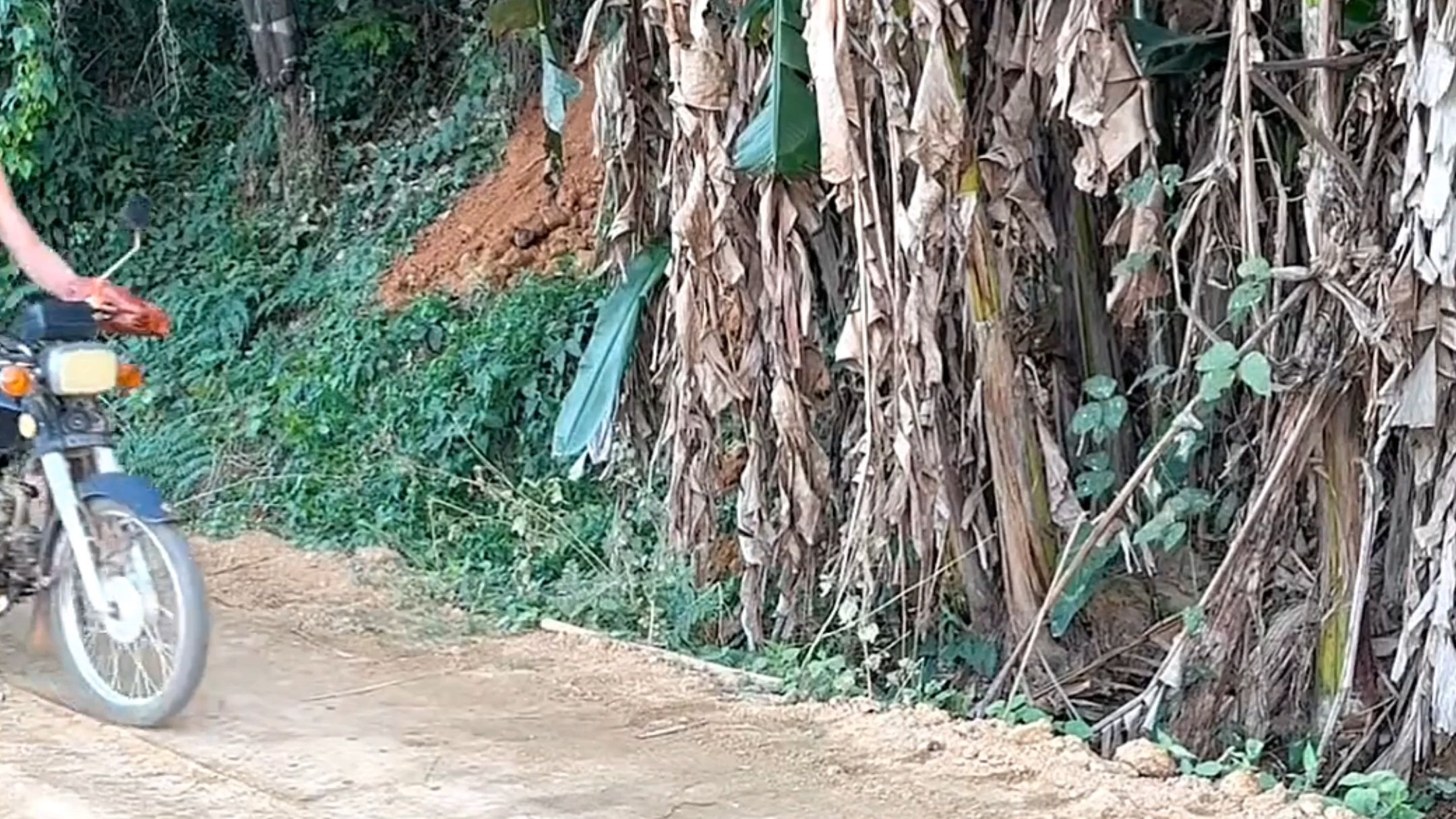 Top Funny Moments in the world part 4 😄 - BiliBili