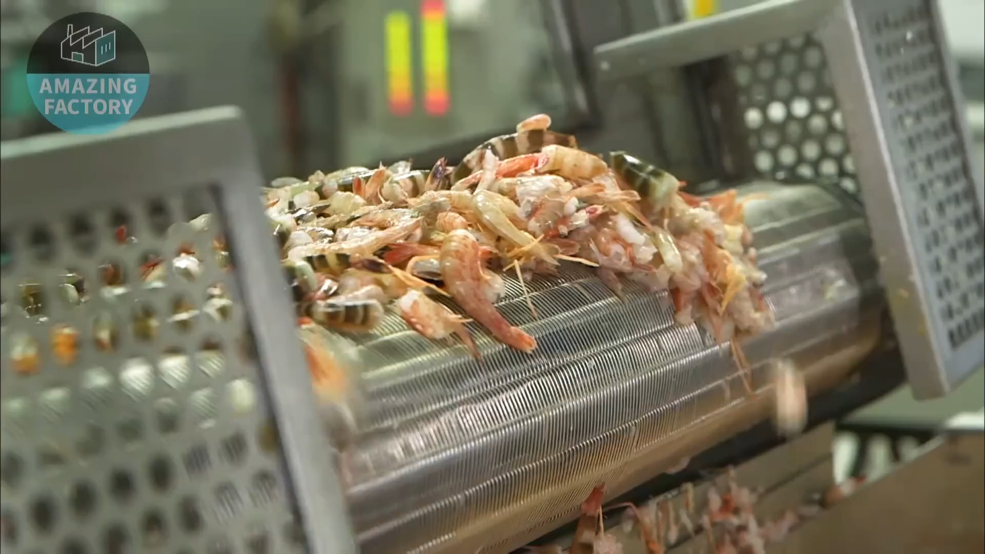 [Turns Out There Really Are Shrimp in Shrimp Senbei! Century-Old Shop ...