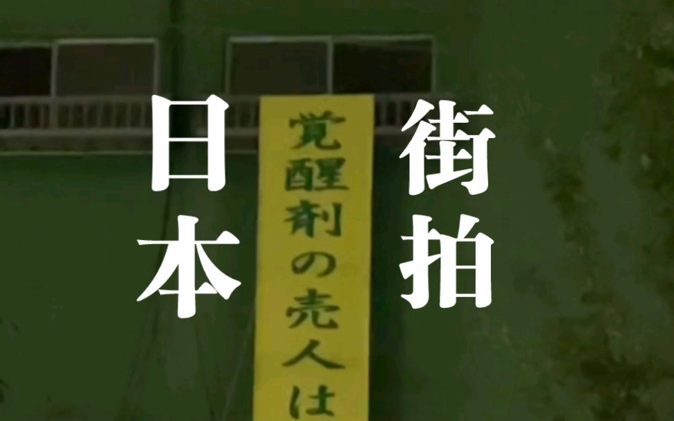 Welcome to Japan, my dear little darlings! - BiliBili