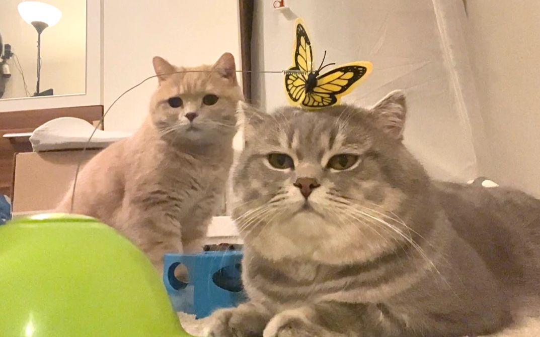 Being ostracized is my fate—I get it. - BiliBili