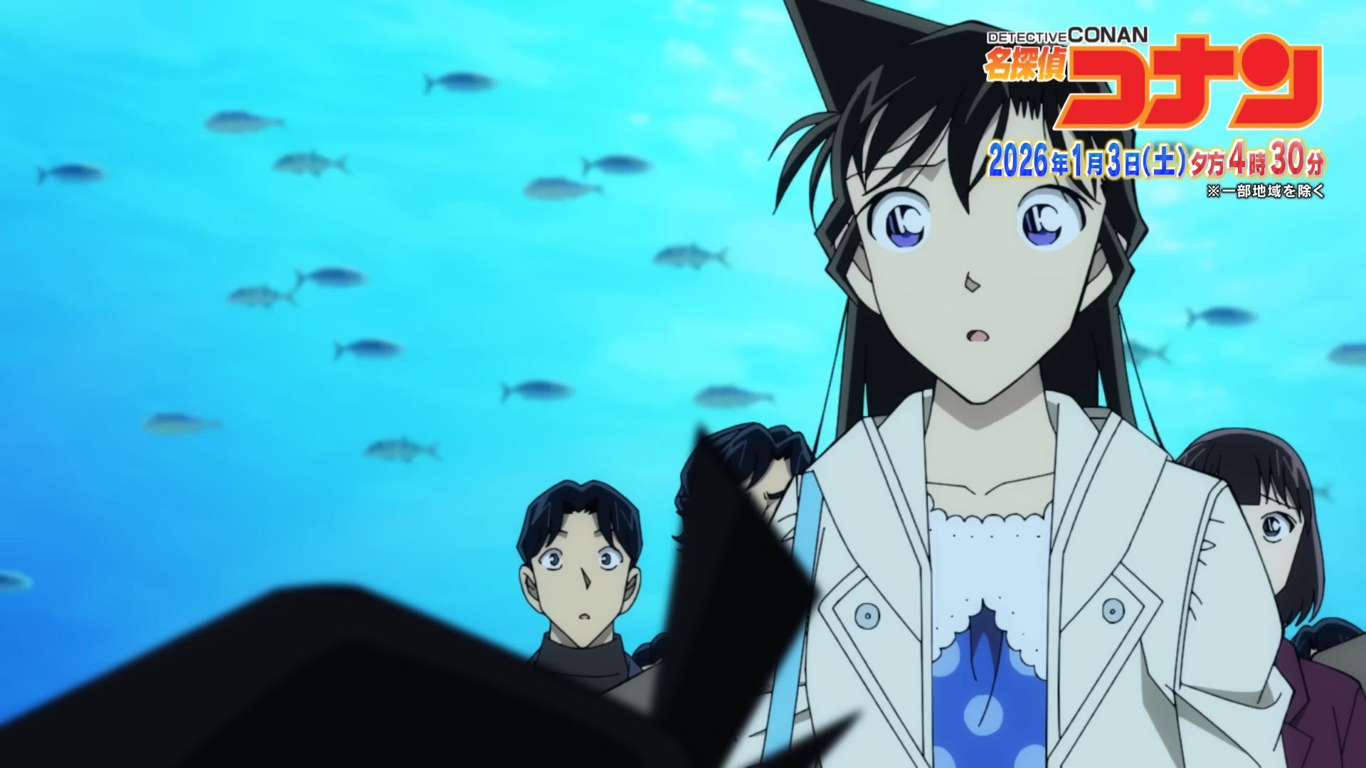 [Jan 3 / Special Episode] Detective Conan “Story ‘ZERO’ – Kudo Shinichi ...