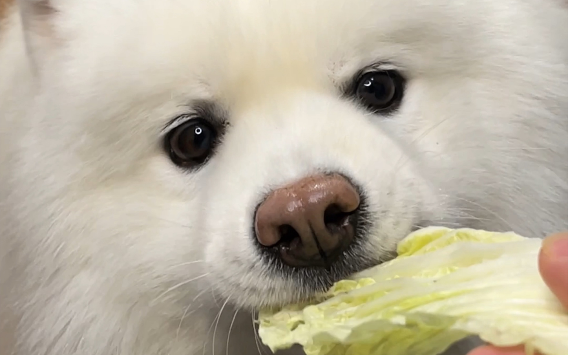 Can a noob ask you to grab breakfast together? - BiliBili