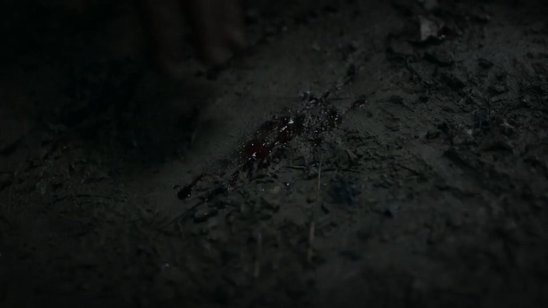 Creature (2023) ตัวประหลาด EP 4 [ซับไทย] - BiliBili