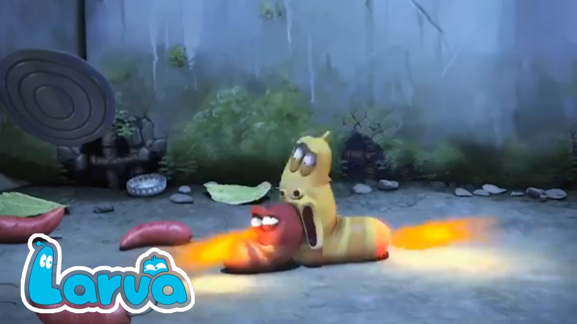LARVA || CHILI SHOW - CARTOON CHILDREN - Bstation