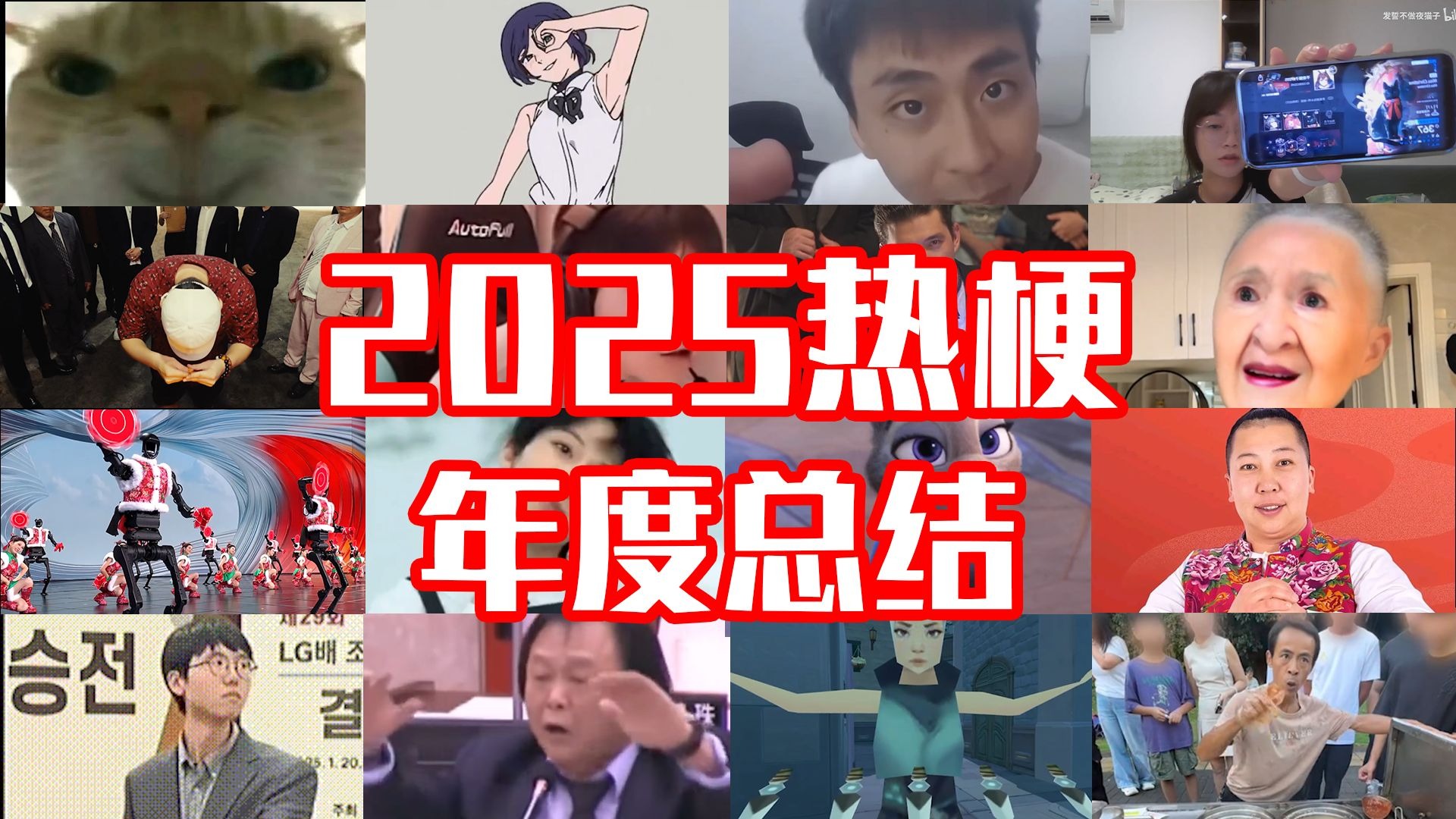 2025 Hot Internet Memes Year in Review | Meme Guide - BiliBili