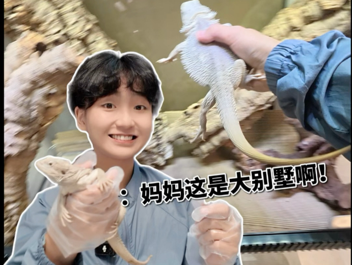 I still haven’t decided what plants to grow in this tank… - BiliBili