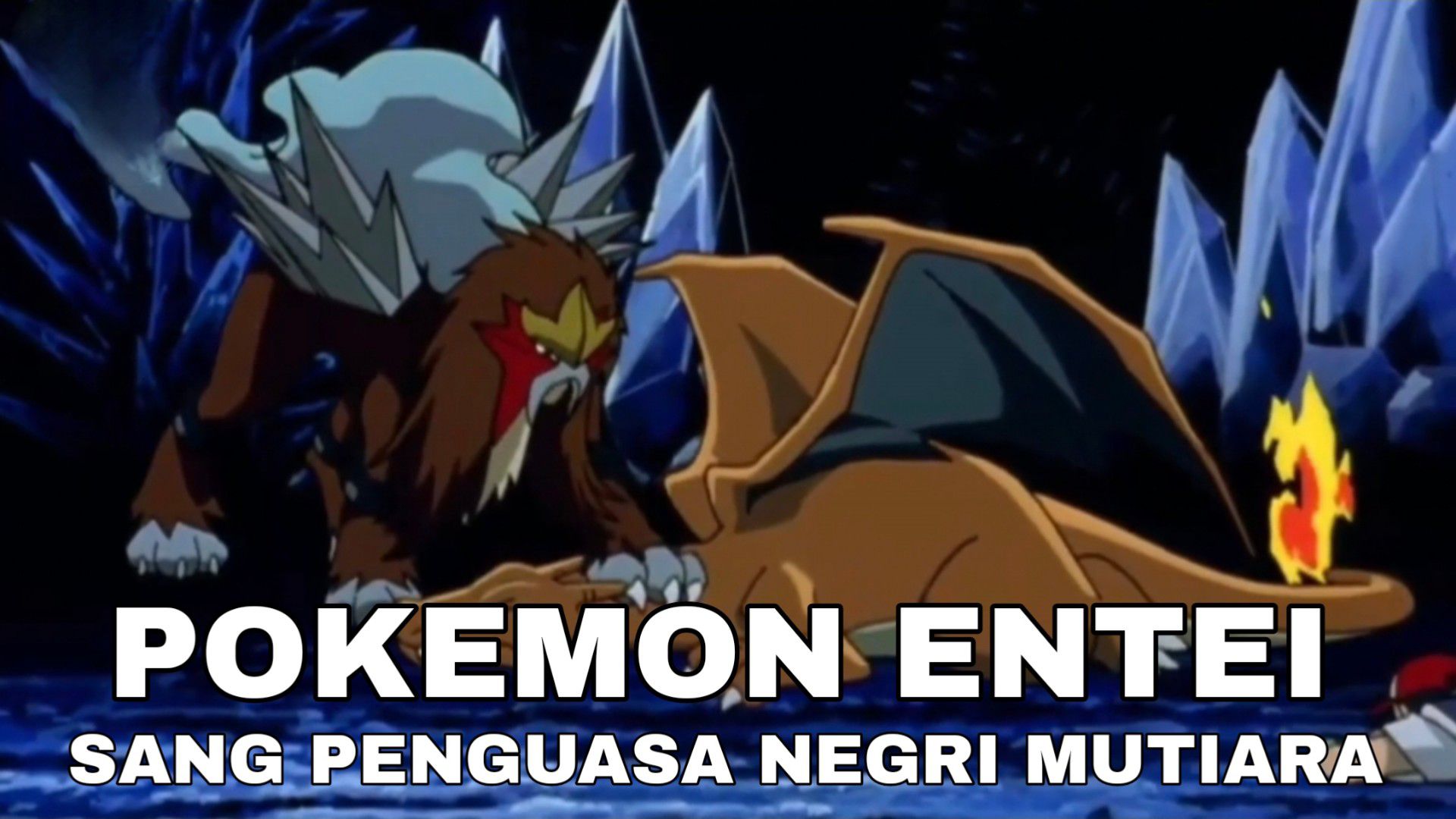 entei vs lizardon - BiliBili