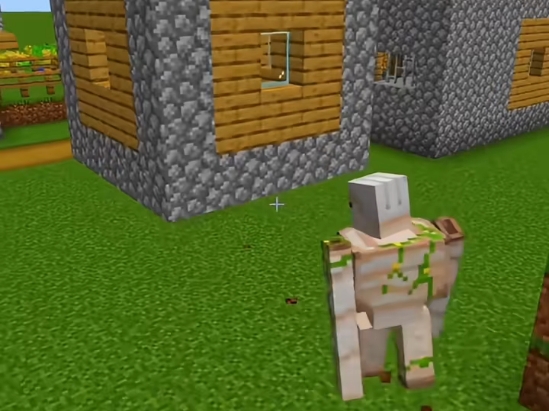 Minecraft: Stop picking on my Iron Brother! - BiliBili