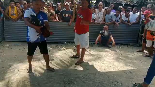 1st fight ni pula. walang galos... - BiliBili