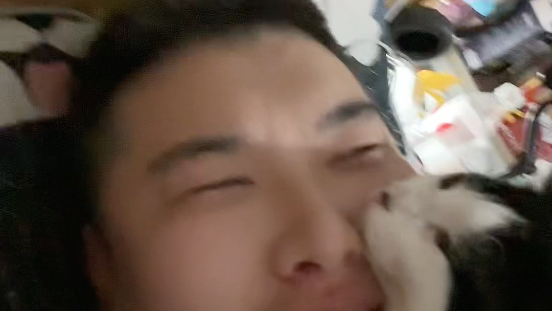 [Security Guard’s Diary – Summoned Beasts] The latest video is live ...